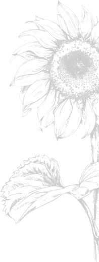 Landing – متجر سلف